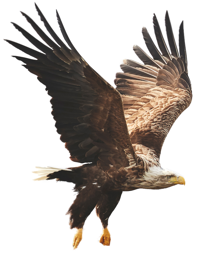 Explore Paamiut - A Gateway to Greenland's Natural Wonders